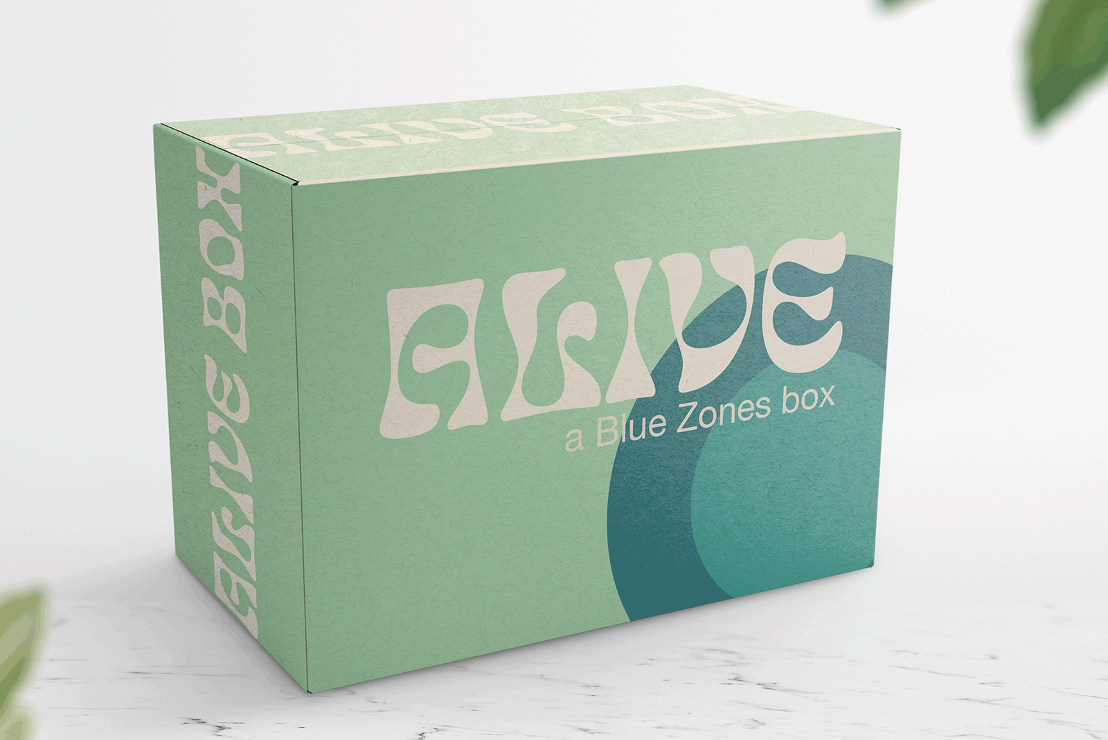 Alive Meal Kit — Nigel Keen Design